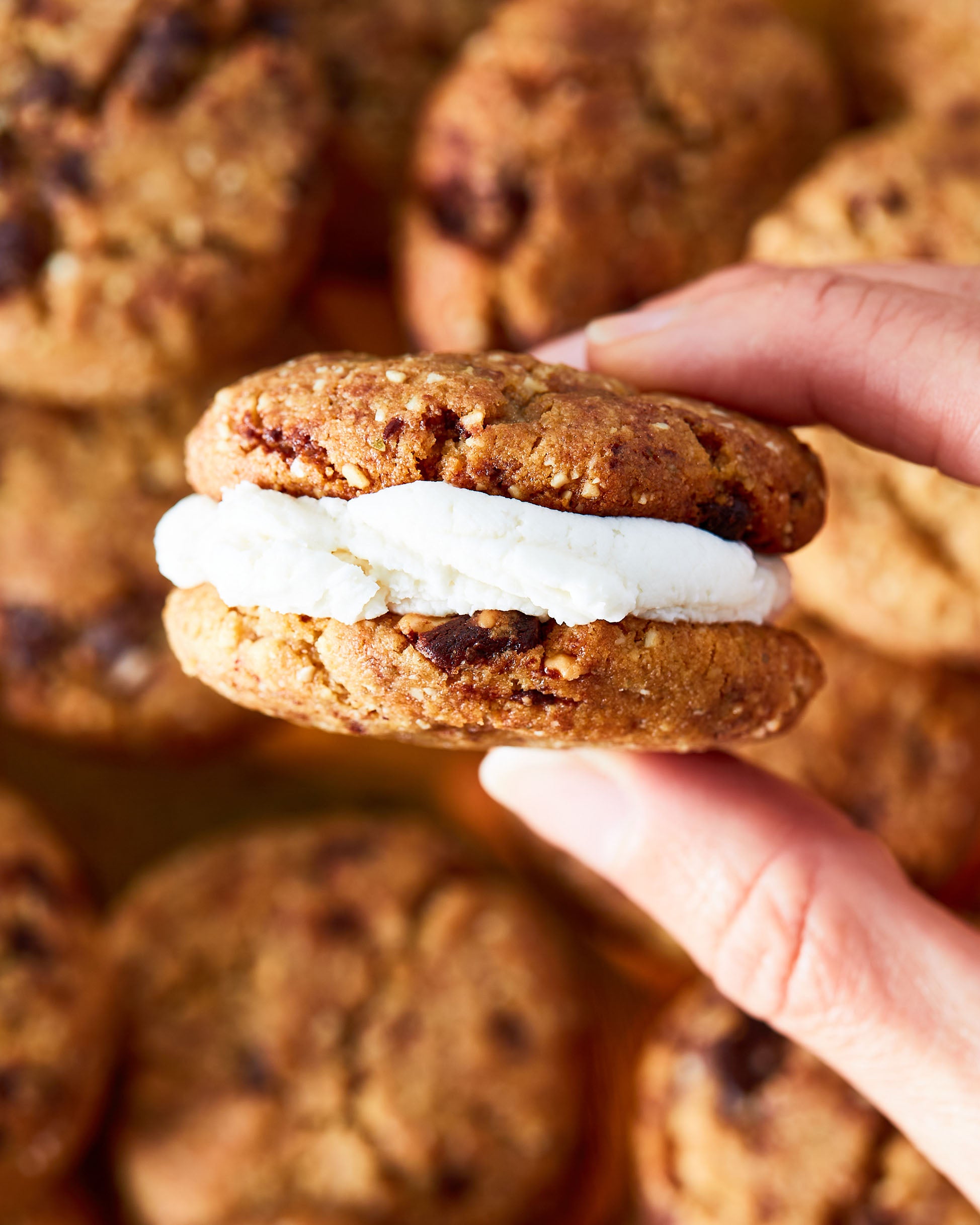 Ginger Spice Cookies – Honey Mama's